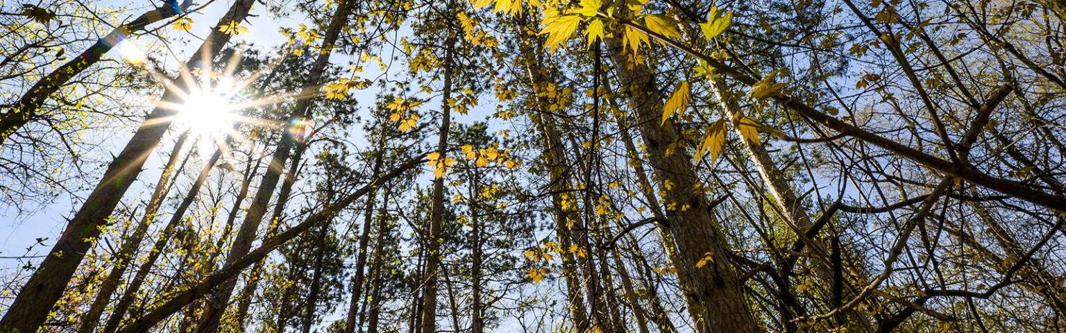Center for Ecology and the Environment